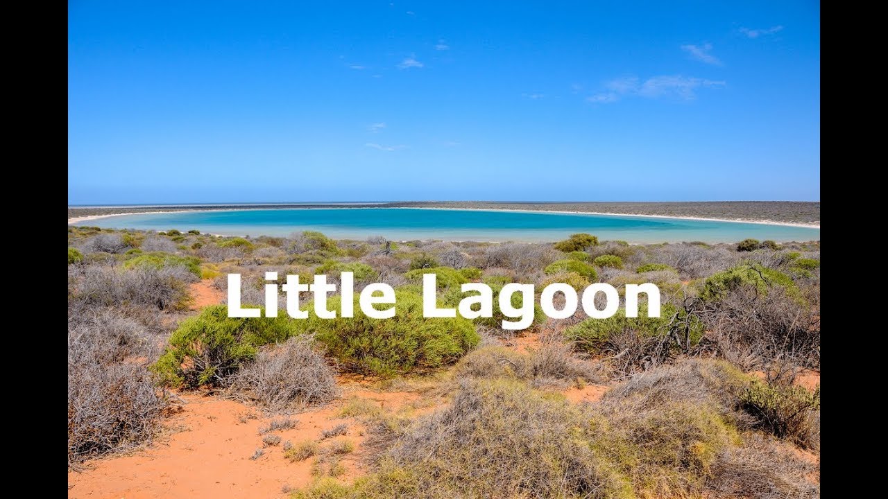西澳必做的三十五件事—(29)Denham、Little Lagoon - YouTube