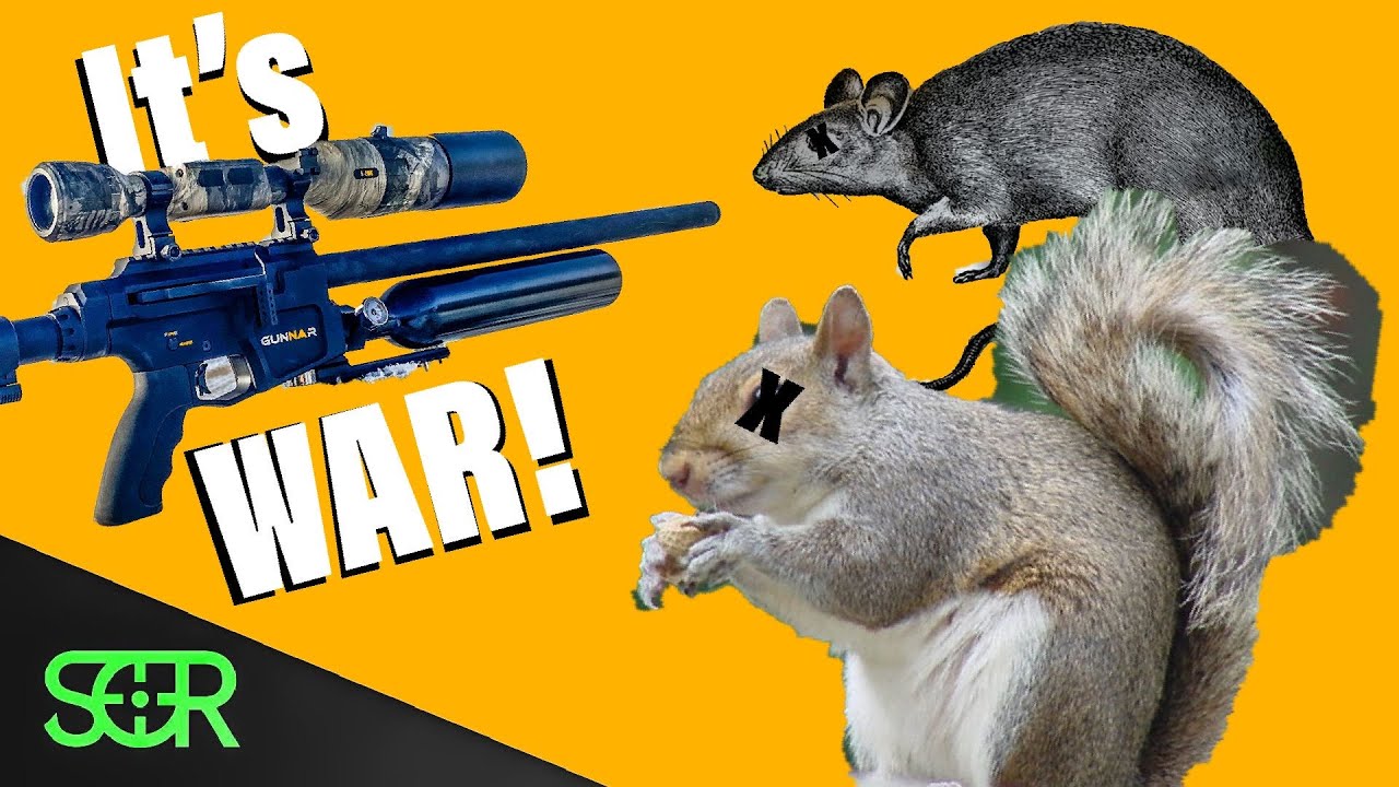 RAT BUSTIN’ & SQUIRREL SMACKIN’ with the Benjamin GUNNAR & HOWLER SLUGS ...