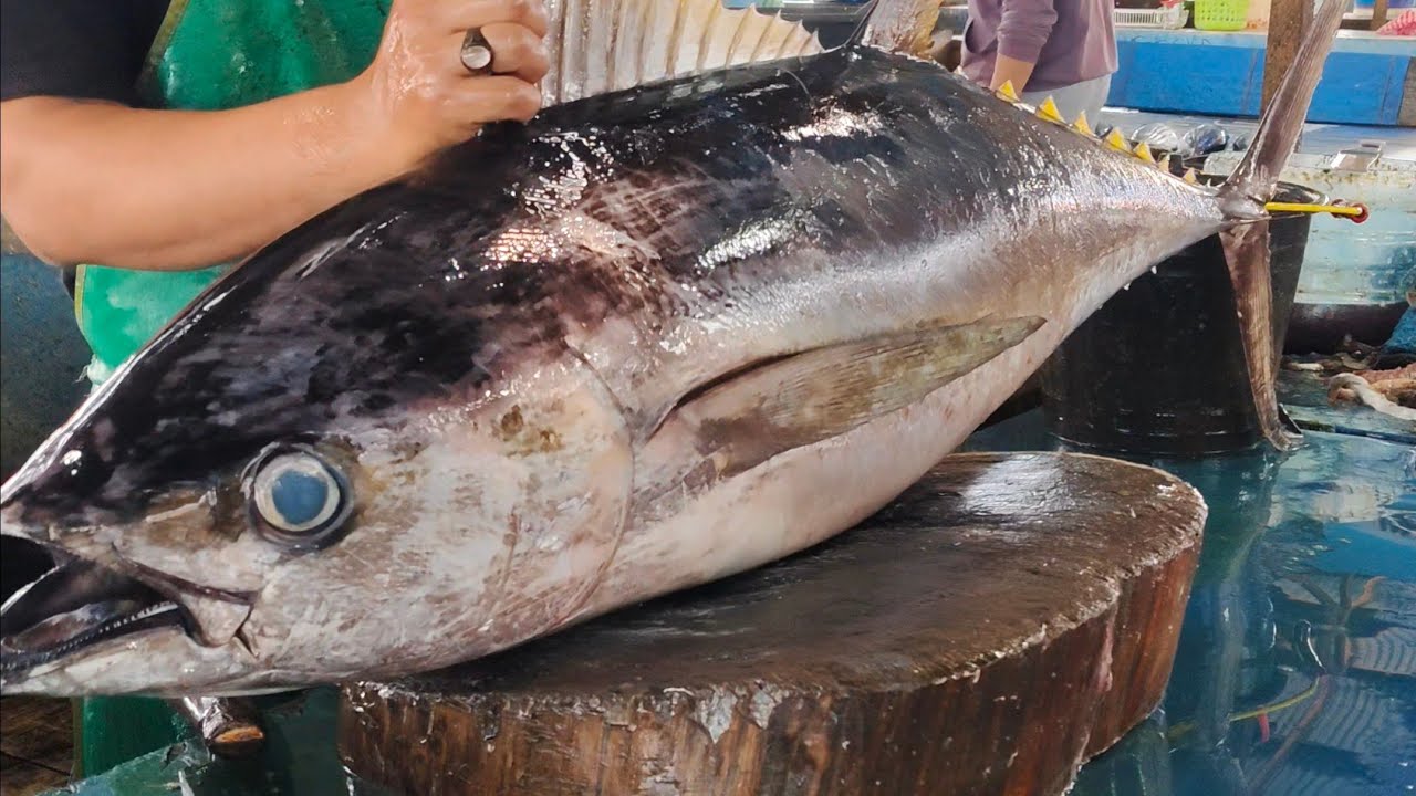 It's amazing!! This young man's sturdy hands cut tuna cleverly using a ...