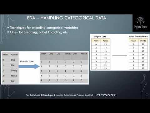 DataViz-32. Handling categorical variables - YouTube