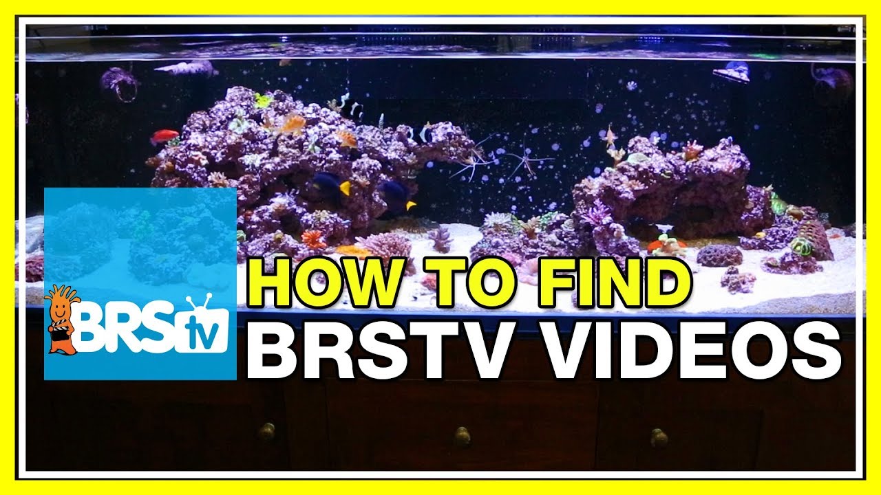 FAQ #44: How do I find all of the BRStv videos? | 52 FAQ - YouTube