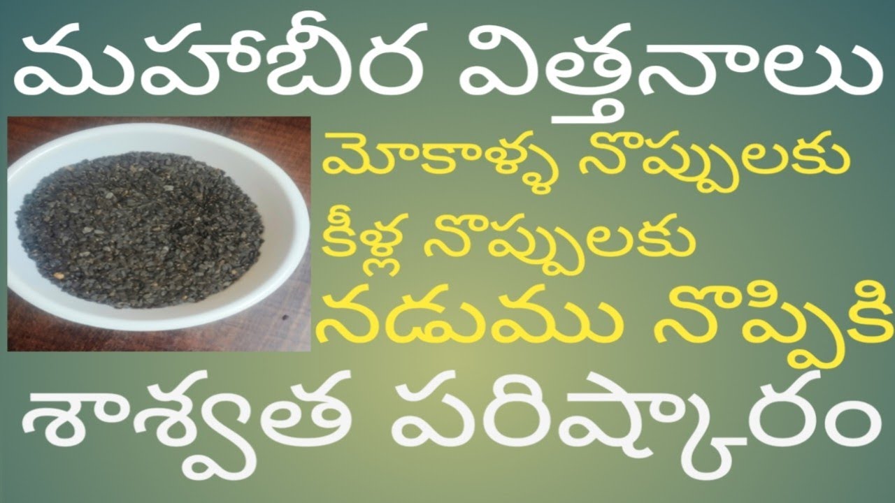 #Maha bheera seeds benefits#Remedy for Knee pain#Joints pain#medicine ...