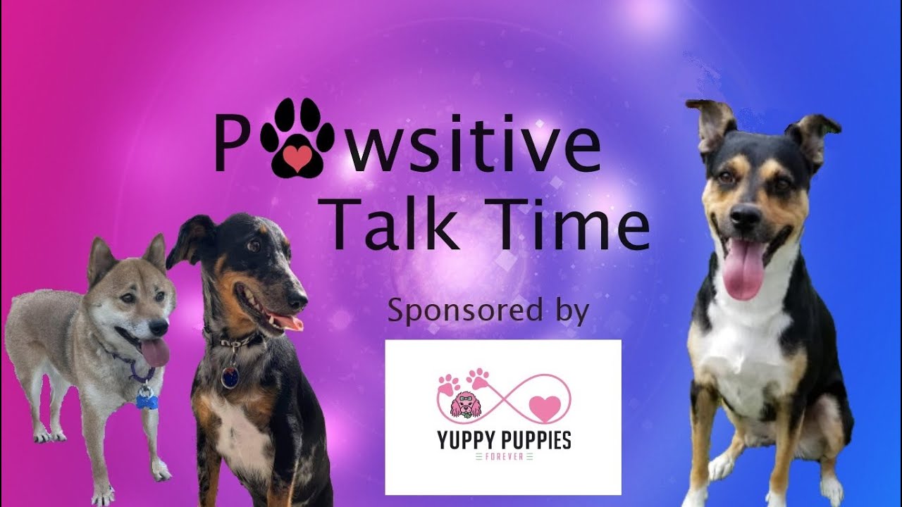 A hard topic to talk about surrounding your dogs-We are live with ...