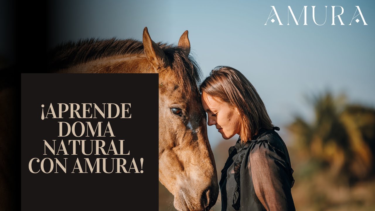 Como aprender la DOMA NATURAL de Caballos | ¡Únete Ahora! - YouTube