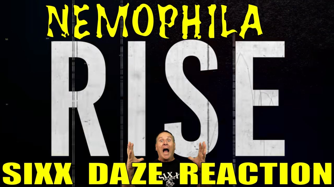 Nemophila: Rise Sixx Daze Reaction #nemophila #rise #newmusic - YouTube