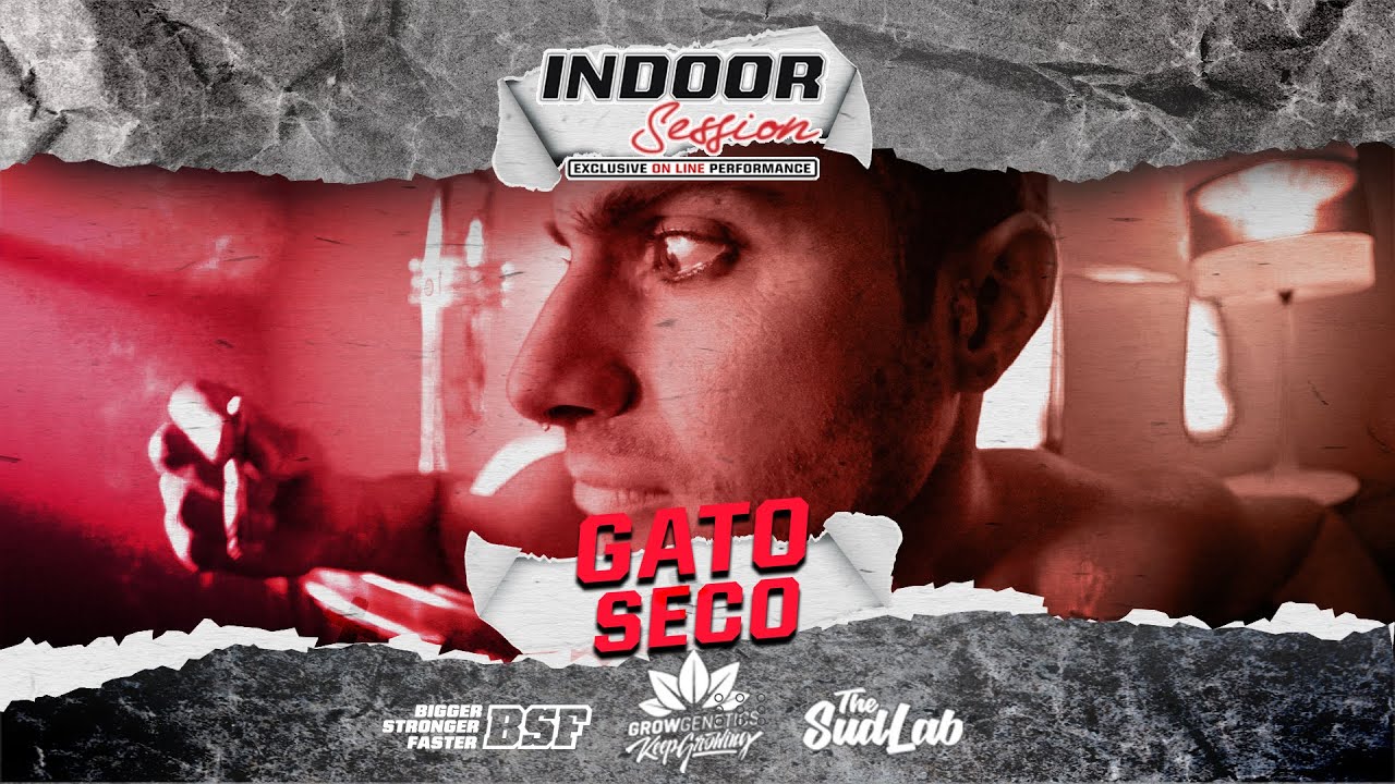 INDOOR SESSIONS - CAPÍTULO #2 - GATO SECO - YouTube