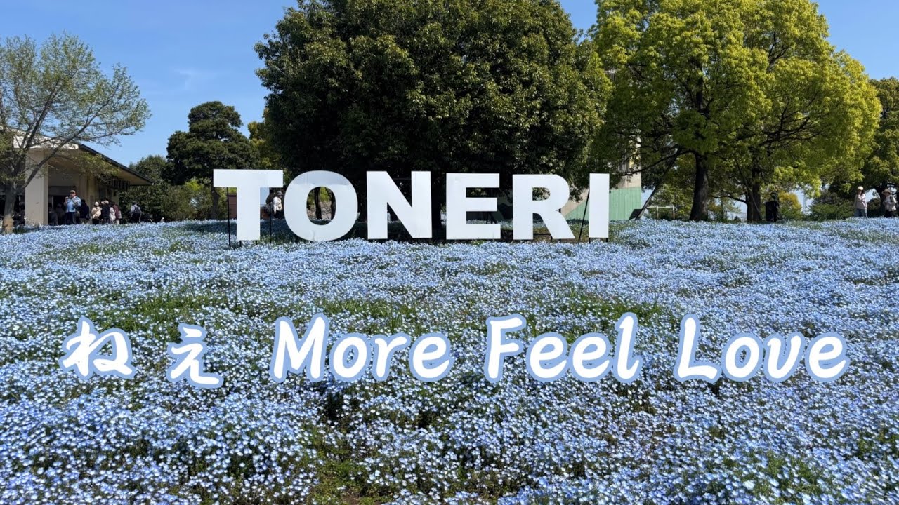 舎人ネモフィラのうた「ねぇ More Feel Love」とねり Nemophila Baby Blue Eyes - YouTube