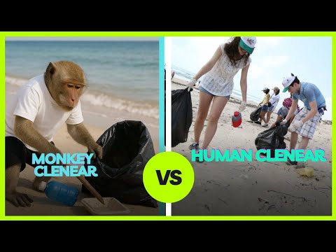 Monkey cleaner VS Human cleaner 💪🏻💪🏻| monkey video | Human 💪🏻 video 📸 ...