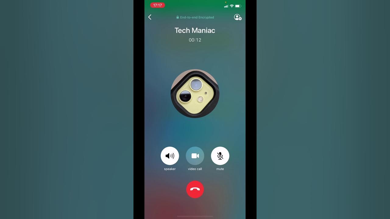 WhatsApp Incoming Call iOS - YouTube