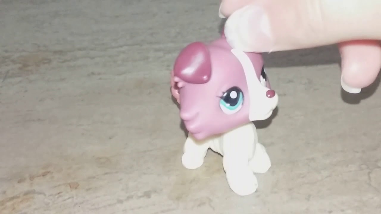 LPS TRADE (909 and more!) - YouTube