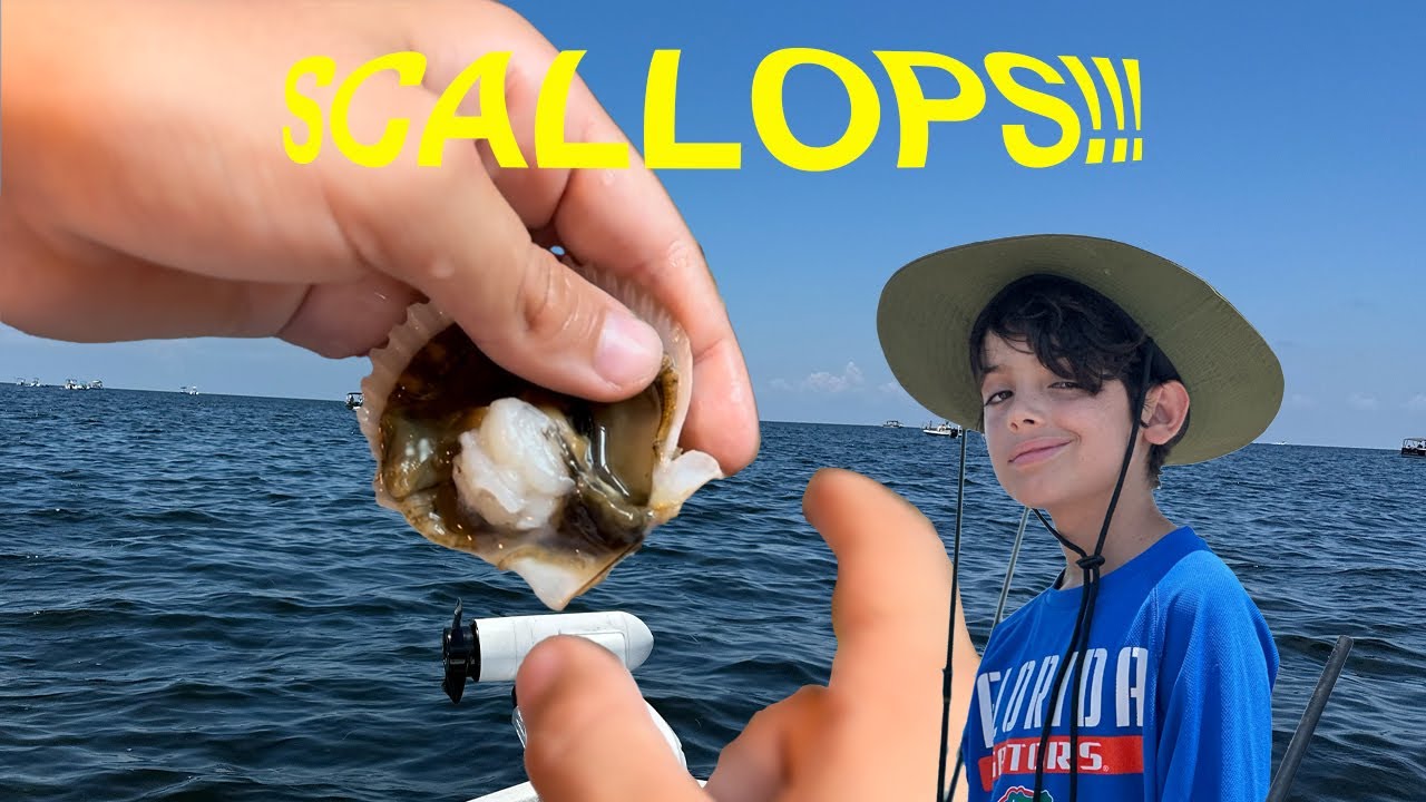 Scalloping in Keaton Beach FL (Steinhatchee) - YouTube