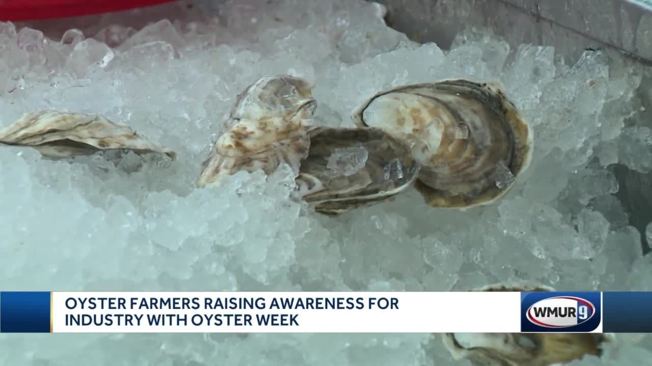 Oyster farms raising awareness for industry with Oyster Week - YouTube