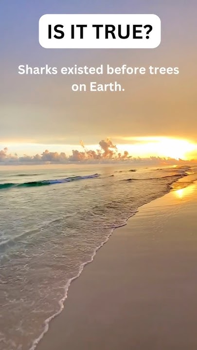 Sharks existed before trees on Earth. True or false? 🤔 - YouTube