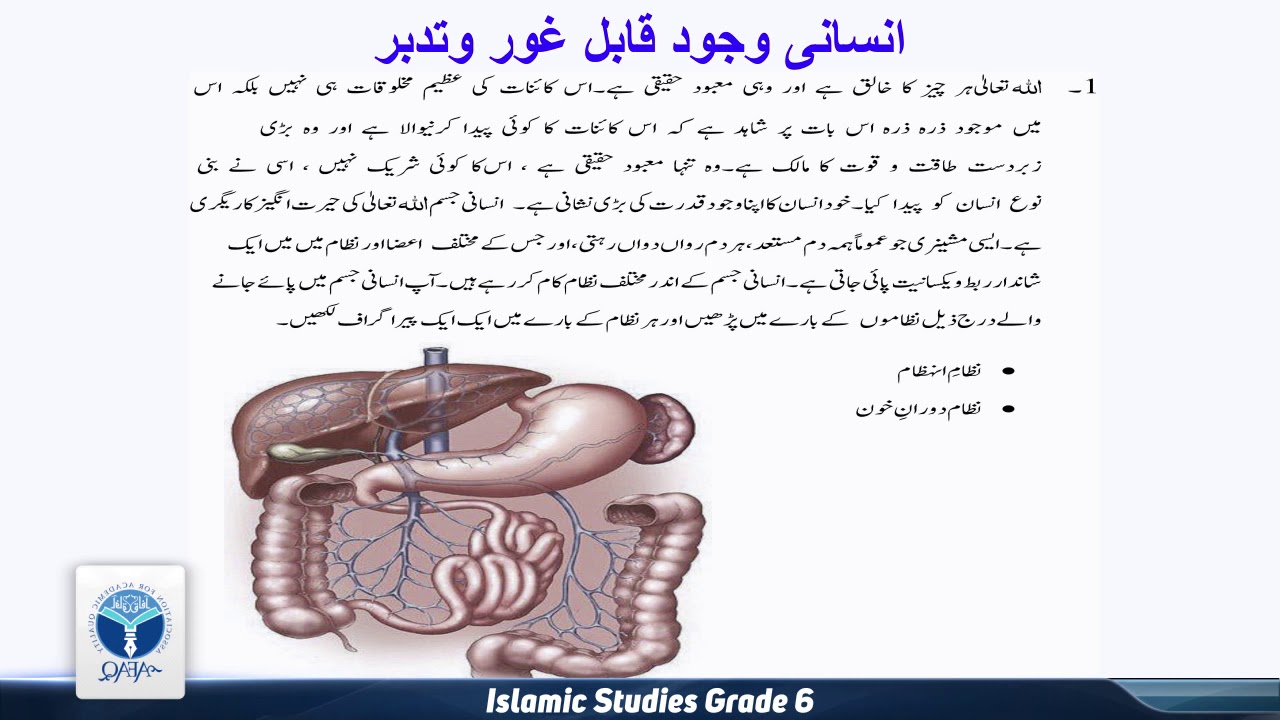 AFAQ Sun series Grade-6 Islamiat (Worksheet/Page#1-3) Part-1 Students ...
