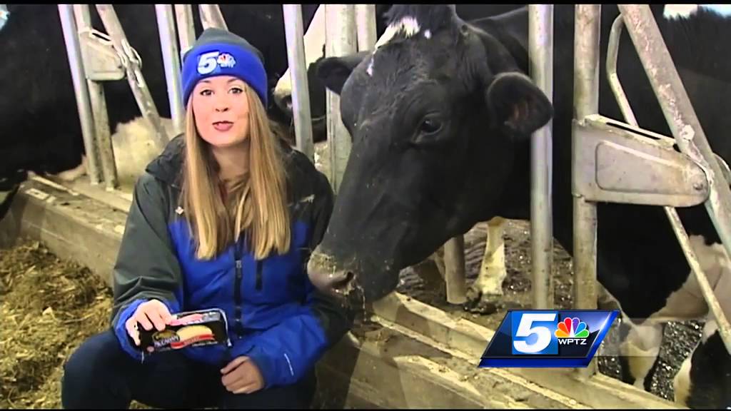 Agri-Mark's Chateaugay facility prepares for expansion - YouTube