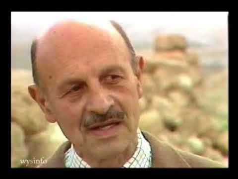 Wysinfo - Yigael Yadin On Discovery In Massada - YouTube