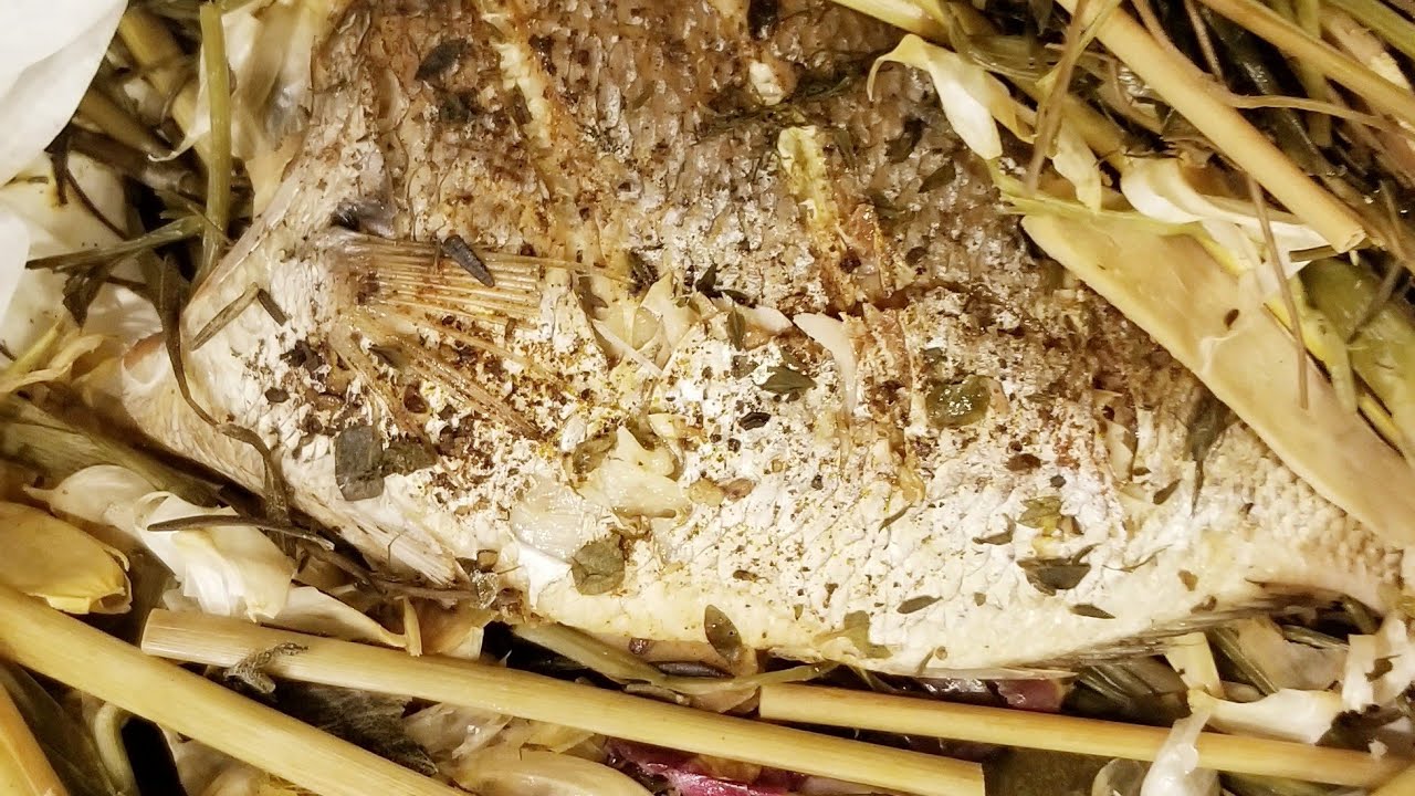 Herb Infused Fish Recipe // Marie's 716 garden vlog, #65 - YouTube