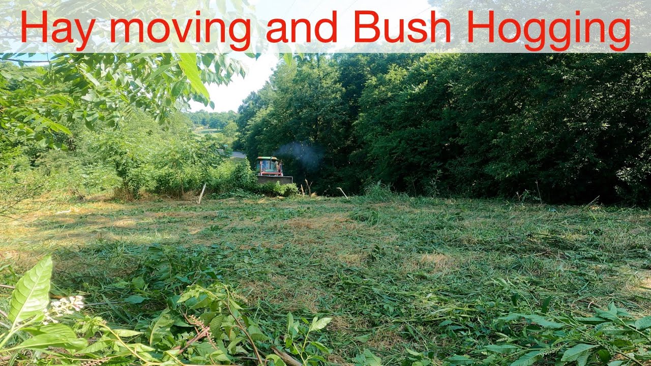 Hay Moving and Bush Hogging - YouTube