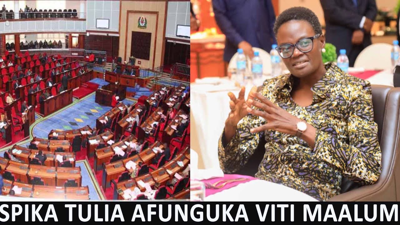 Spika Tulia afunguka kuhusu Wabunge wa Viti Maalum na ukomo wao Bungeni ...