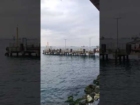 Renkli seyyah Bakırköy Marina da