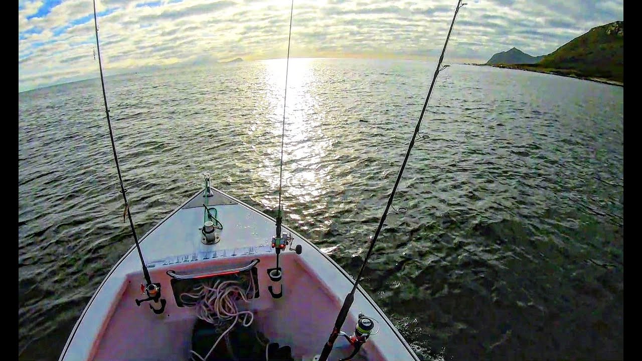 Solo small boat yellowtail kingfish catch - YouTube