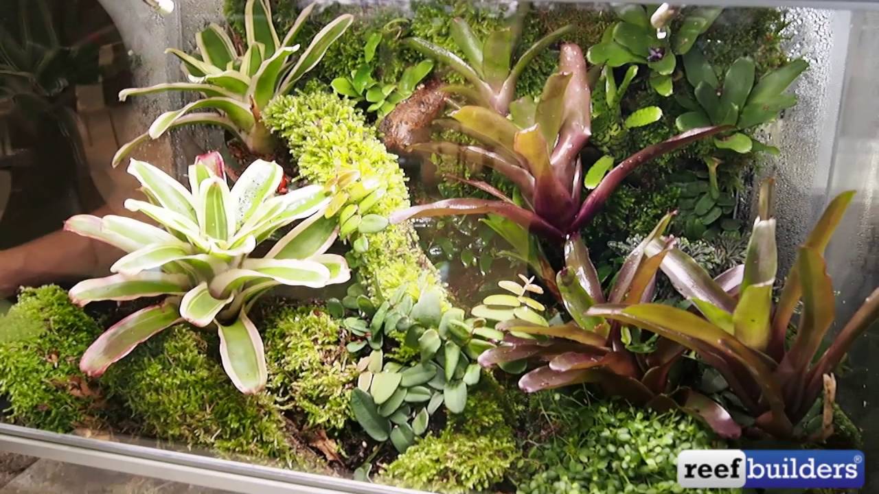 BioPod smart microhabitat ecosystems - YouTube