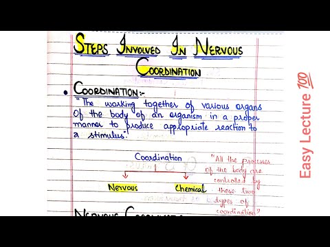 Steps Involved in Nervous coordination | Nervous coordination | Class ...