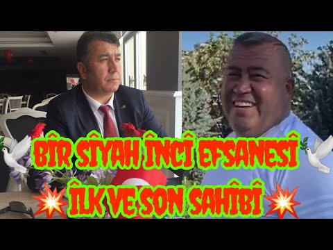 🆕️TAKLACI GÜVERCİN OYUN KUŞU 👉ÜNAL AYNACIOĞLU 🇹🇷ANKARA🕊