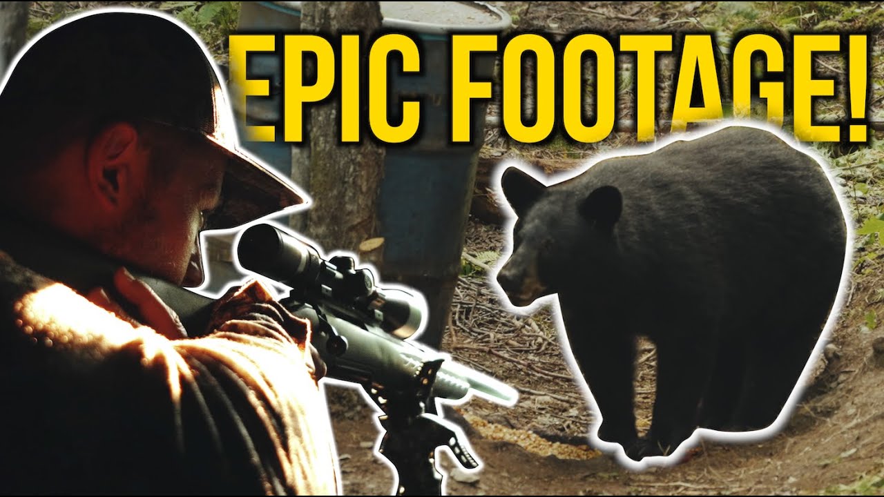 BEAR DOWN (Heart Shot!!) | 2023 Maine Bear Camp - YouTube