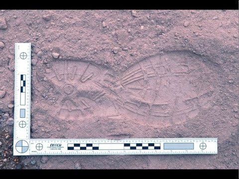 Evidence Photography - Basic Concepts - YouTube