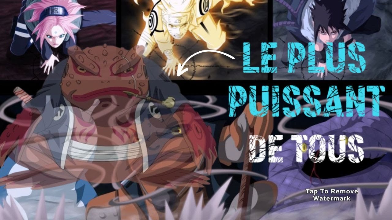 SEULS LES PLUS PUISSANT LE MAITRISE (L'ART DE L'INVOCATION DANS NARUTO ...