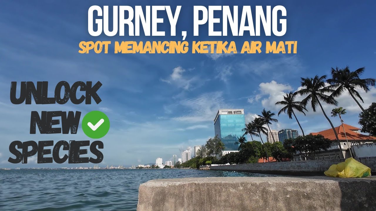 Spot Memancing Ini Tetap Ada Ikan Walaupun Ketika Air Mati | Penang ...