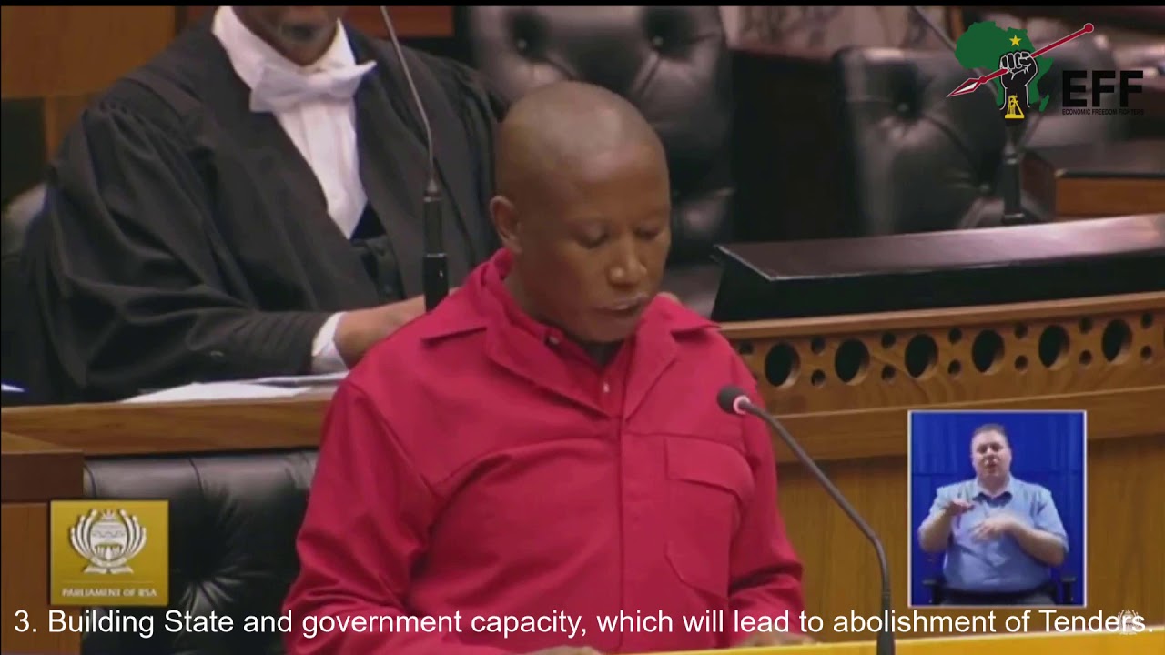 EFF 7 CARDINAL PILLARS - MALEMA - YouTube