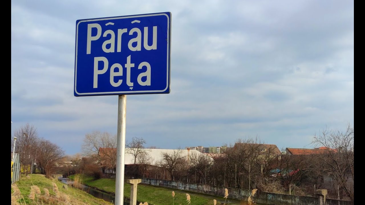 Paraul Peta | Spinning la pesti mici - YouTube