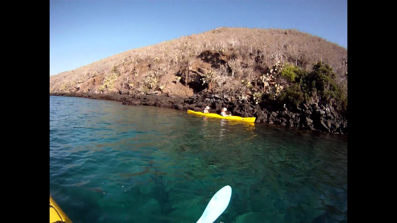 Kayaking Rabida island - Galapagos - YouTube