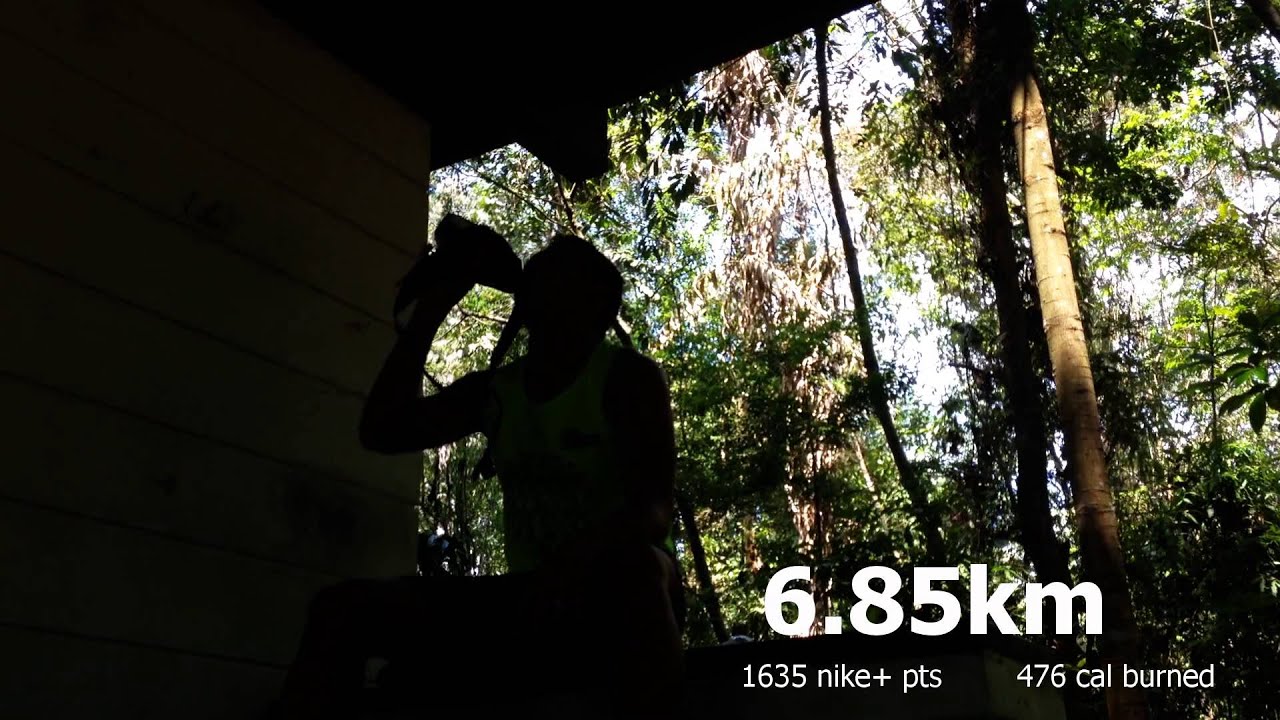 Macritchie Reservoir Trail Run - YouTube
