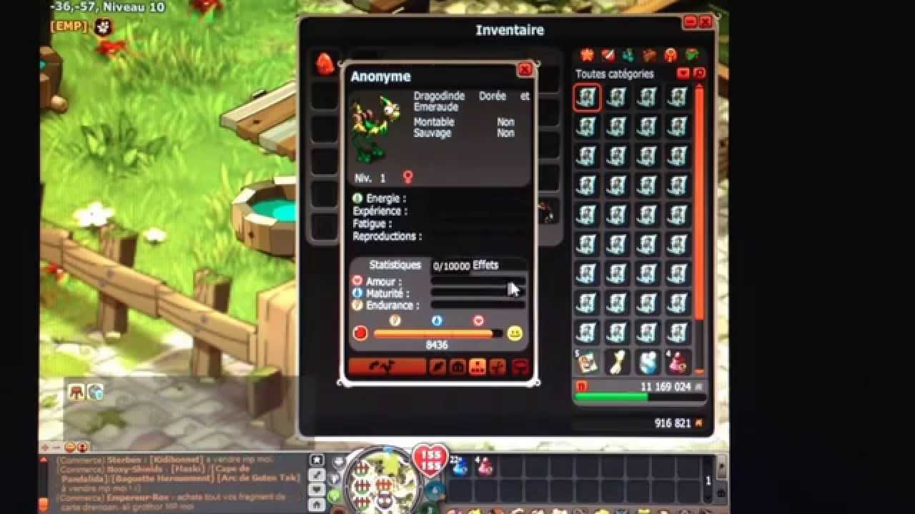 DOFUS - ÉPISODE 2 - Élevage de dragodindes - YouTube