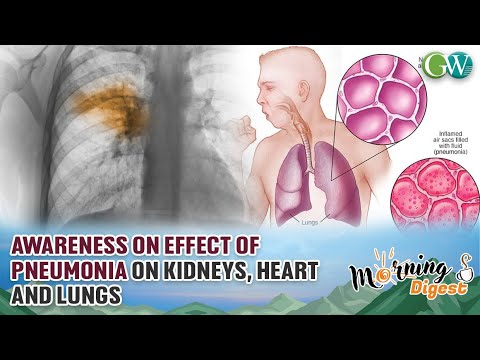 UNDERSTANDING THE EFFECT OF PNEUMONIA ON KIDNEYS, HEART AND LUNGS - YouTube
