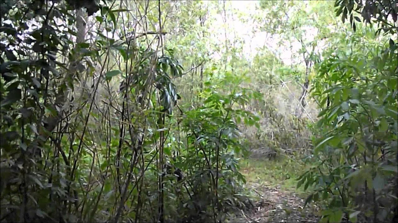 Window Seat by Particle Effect - YouTube