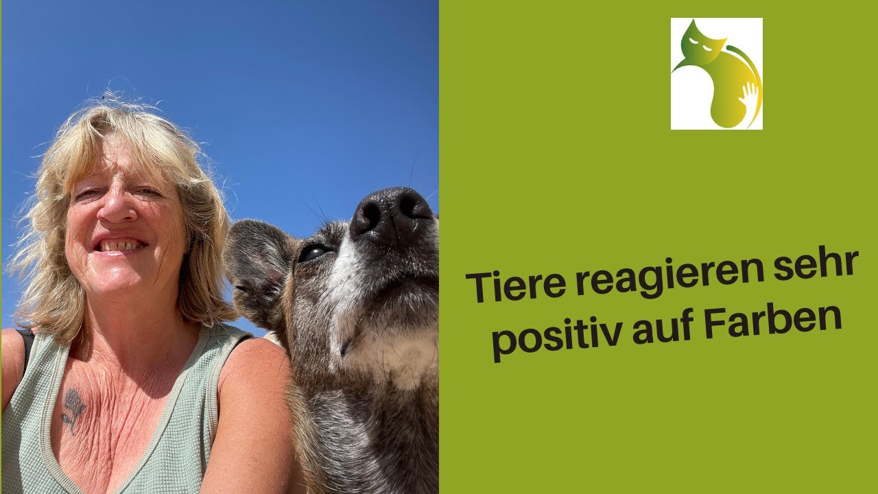 Farben unterstützen Tiere bei Krankheit, Angst, Stress usw. - YouTube