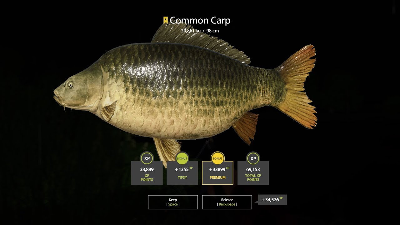 RF4 - Trophy Common Carp on OLD BURG!!! - 20,861kg - YouTube