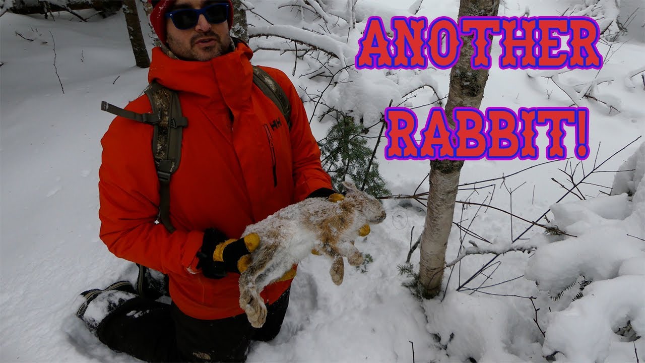 Day After SNOW STORM RABBIT SNARING! - Outdoors with Dave & Brent - YouTube