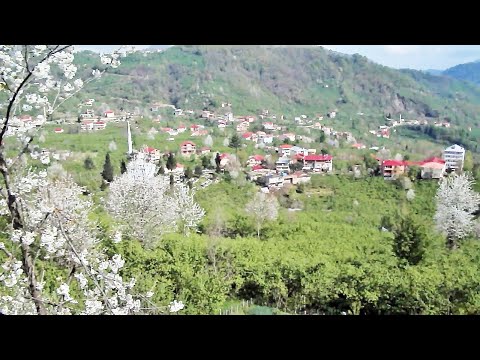 Kuş Sesleri Kadar Huzurlu Cumalar  🙋‍♀‍👍