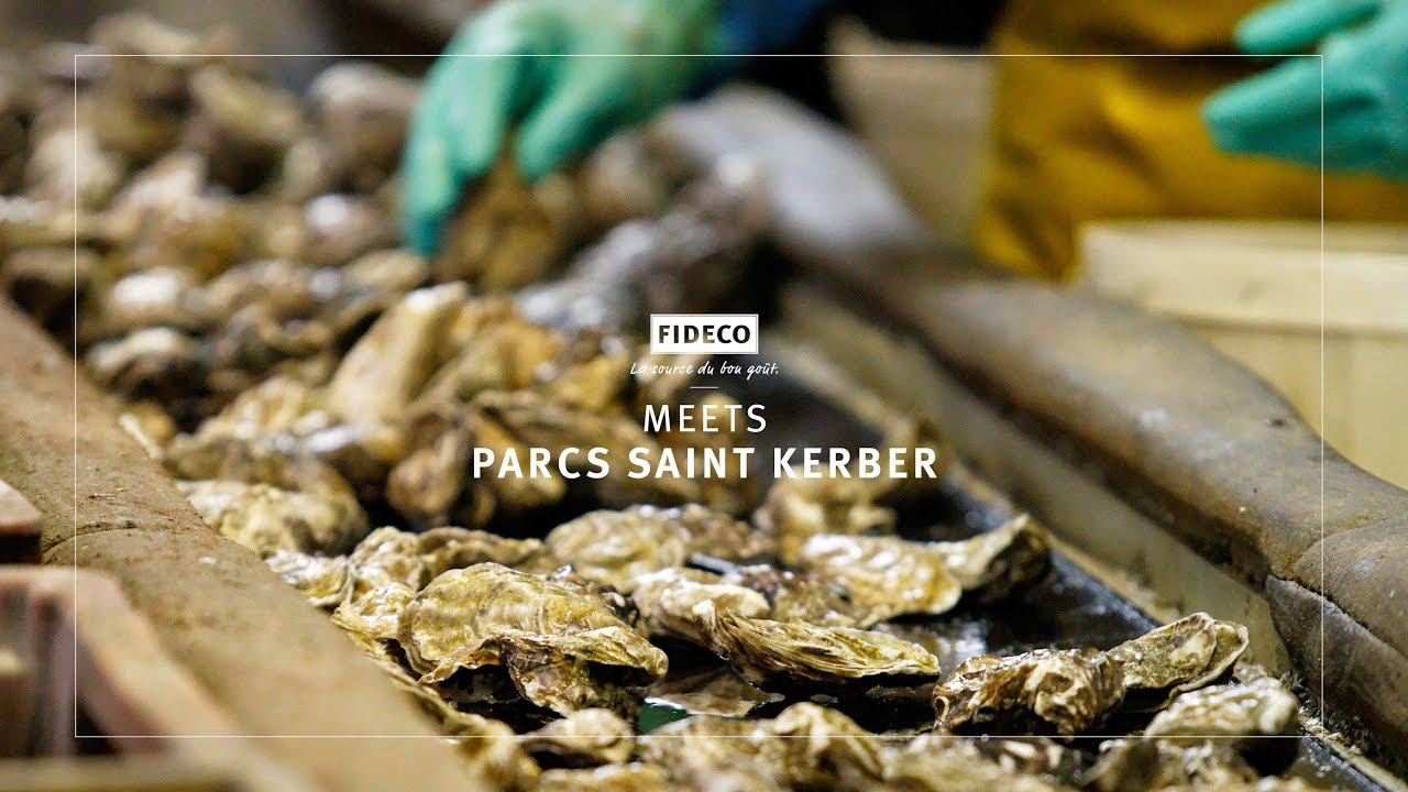 Fideco Meets - Parcs Saint Kerber - YouTube