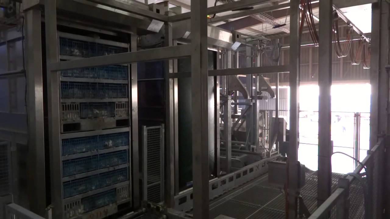 Meyn® Multistage CO2 stunning system 2013 - YouTube