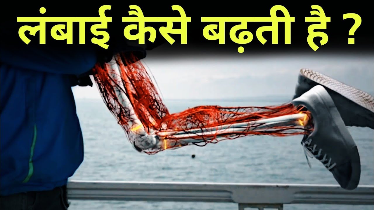 लंबाई कैसे बढ़ती हैं - 3d Animation of Bone growth - YouTube