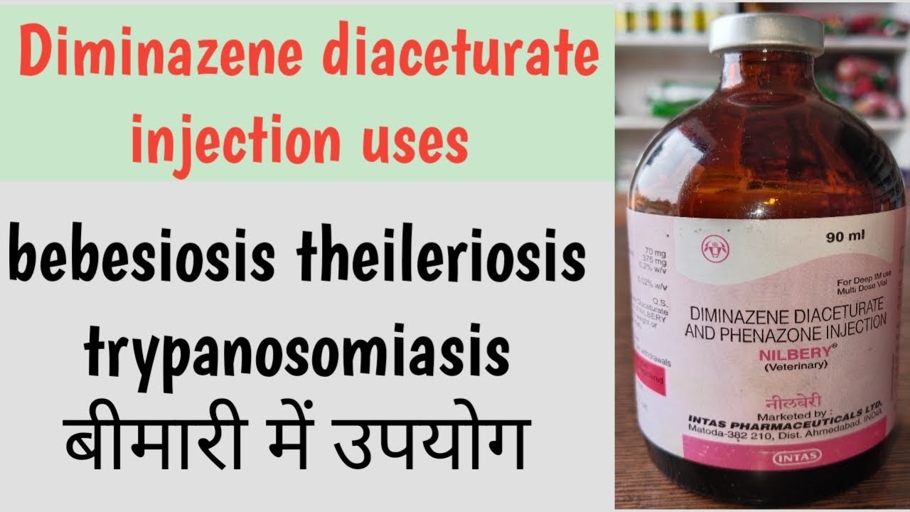 diminazene aceturate injection uses / berenil injection uses, सर्रा और ...