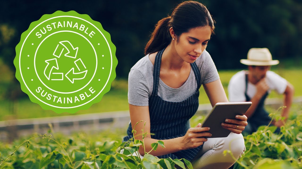 Green Tomorrow - Simple Steps to a Sustainable Lifestyle (3 Minutes ...