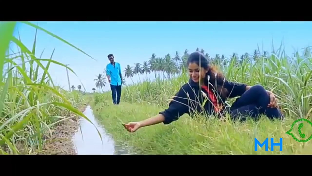 Tamil WhatsApp | Top status | love theam | #6 - YouTube