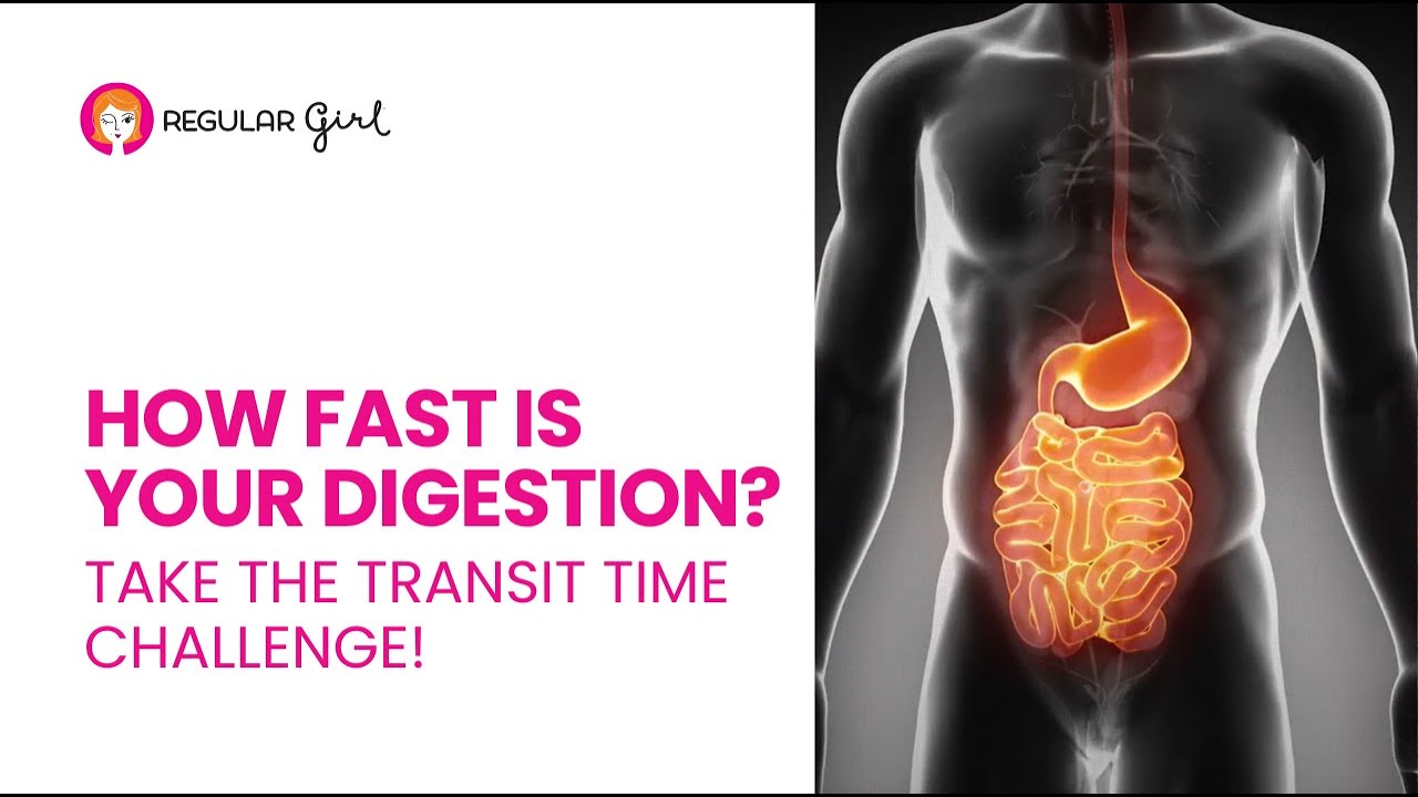 How Fast Is Your Digestion? Take the Transit Time Challenge! | Regular ...